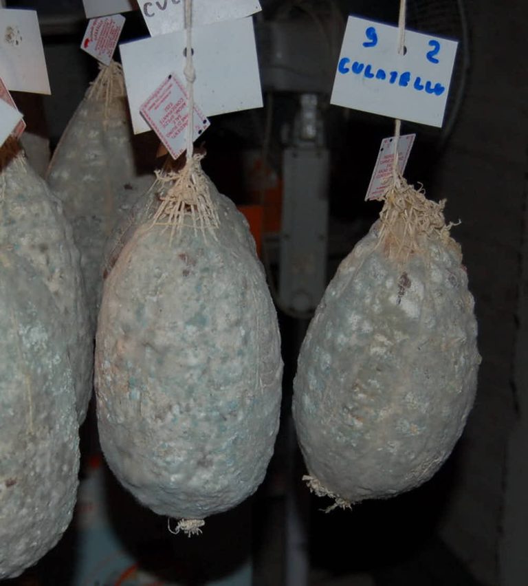 Green Mold on Salami - Taste of Artisan