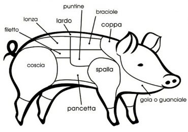 Homemade Pancetta - Taste of Artisan