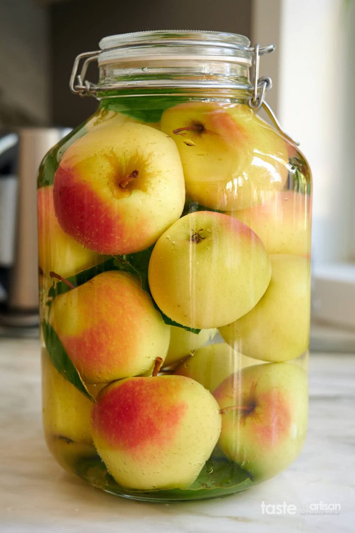 Homemade Fermented Apples - Taste of Artisan