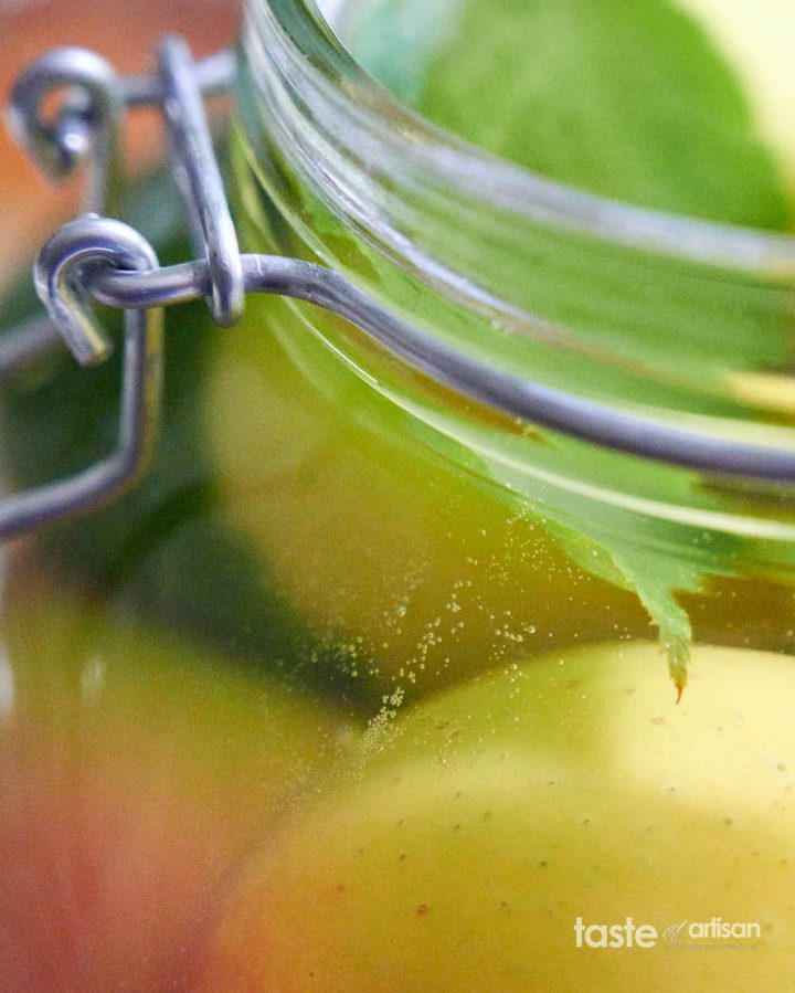 Homemade Fermented Apples - Taste of Artisan